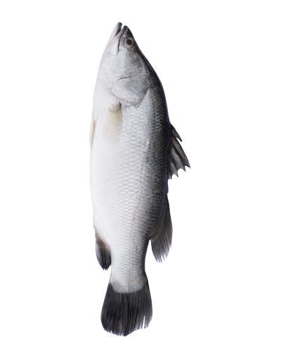 Buy Online Seafood in Karachi, Pakistan With Your Favorite Cutting